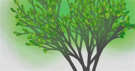 Turtle Examples Codesandbox