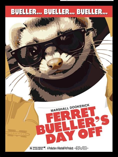 Marshall Ferrets Added A New Photo Marshall Ferrets