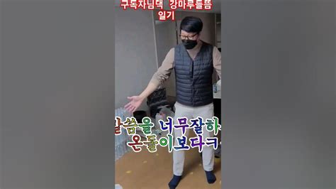 드뎌 구독자님댁 강마루들뜸 일했어요 셀프인테리어 강마루들뜸 들뜸 Youtube