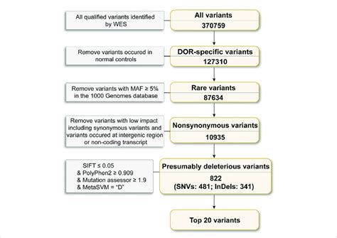 Framework Of Wes Data Analysis Of The Qualified Variants The Variants