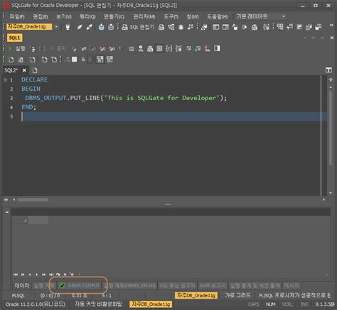 DBMS OUTPUT이 출력이 되지 않습니다 SQLGate Support Center
