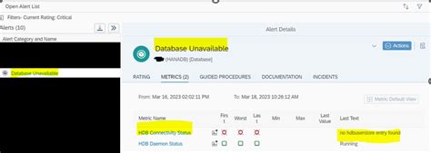 Database Unavailable Hdb Connectivity Issue Pa Sap Community