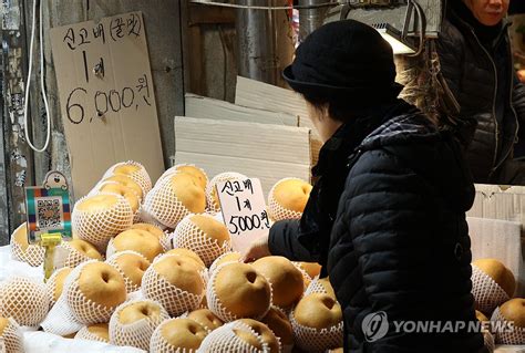 가격 급등 선뜻 손 가지 않는 배 연합뉴스