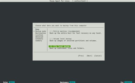 Backups Al Cloud Con Veeam Agent Linux V20 Aprendiendo A Virtualizar