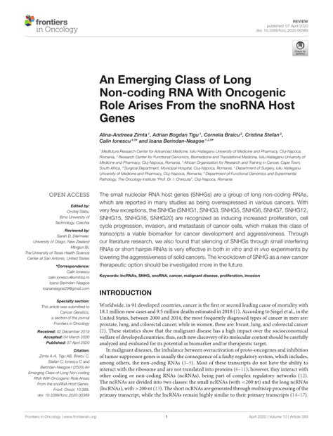 Pdf An Emerging Class Of Long Non Coding Rna With Oncogenic Role Arises From The Snorna Host Genes