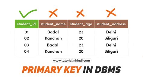 Primary Key In Dbms In Hindi Tutorial In Hindi