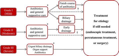 Cholangitis Tokyo Guideline