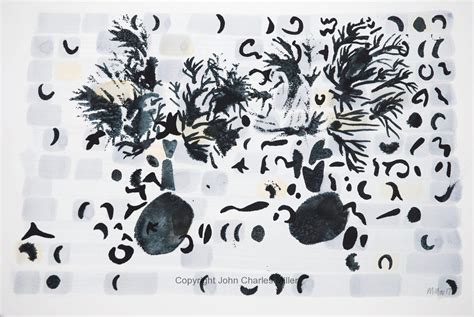 Codium Fragile 3 Johncharlesmiller