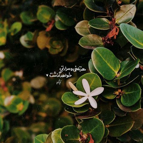 عکس پروفایل متن دار شیک عکس نوشته خوشگل برای پروفایل