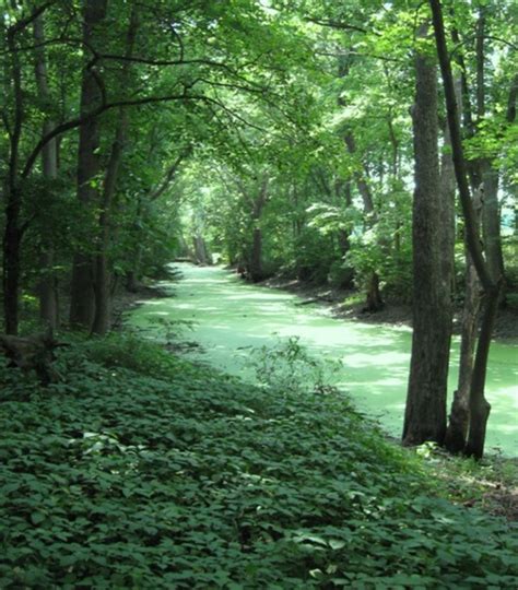 Discovering The Delphi Indiana Canal Hubpages