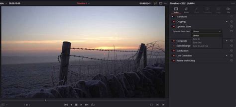How To Zoom In Davinci Resolve 2 Best Ways