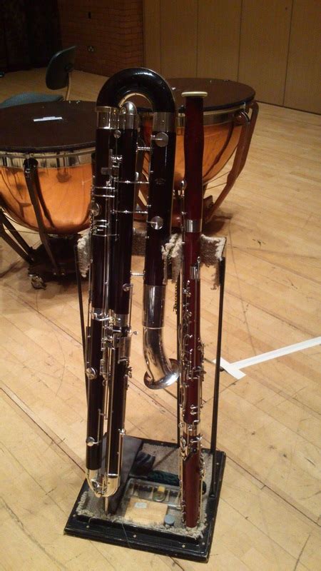 News Thomas Porter Bassoon Thomas Porter Bassoon