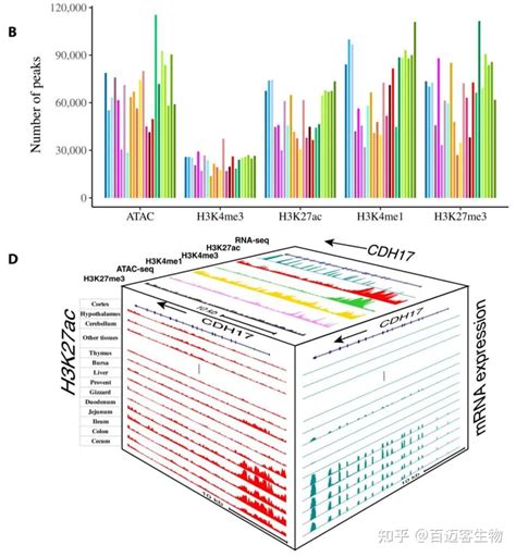 首个鸡全基因组调控元件图谱在science子刊上被成功发布 知乎