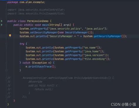Java安全管理器详解：权限配置与使用策略 Csdn博客