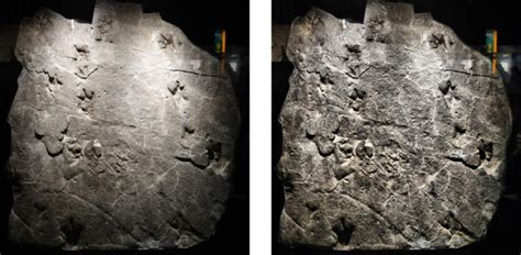 Contrast Limited Adaptive Histogram Equalisation Clahe Left Download Scientific Diagram