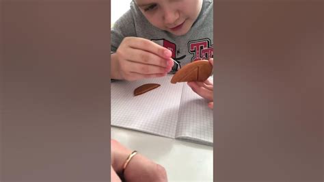 Заказал соты из Игры в кальмара смогу ли я выжить Squidgame игравкальмара сахарныесоты