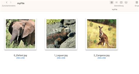 how to zip multiple images and send them via email questions n8n community