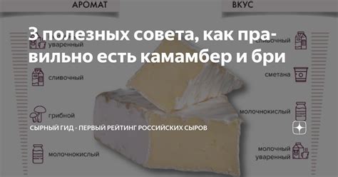 3 полезных совета как правильно есть камамбер и бри Сырный Гид первый рейтинг российских