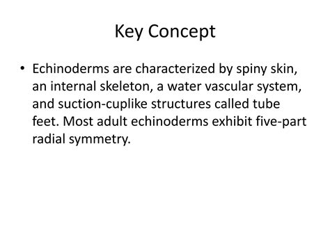 Biology 28 4 Echinoderms Pptx