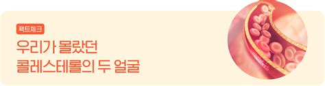 콜레스테롤의 두 얼굴 맞춤영양제 필리