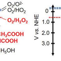 Relationship Between The Potential Of Oxygen Reduction And The Band Download Scientific Diagram