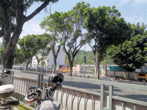 【6图】宝安区自由路住宅底商旺铺出售深圳宝安翻身路商铺租售生意转让出售 深圳58同城