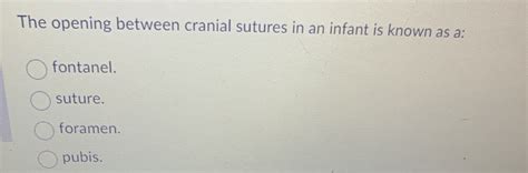 Solved The Opening Between Cranial Sutures In An Infant Is