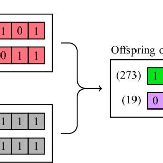 Genetic Algorithm Mating Between Two Individuals A And B Each Download Scientific Diagram