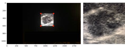 perspective transformation applied to photograph to extract roi
