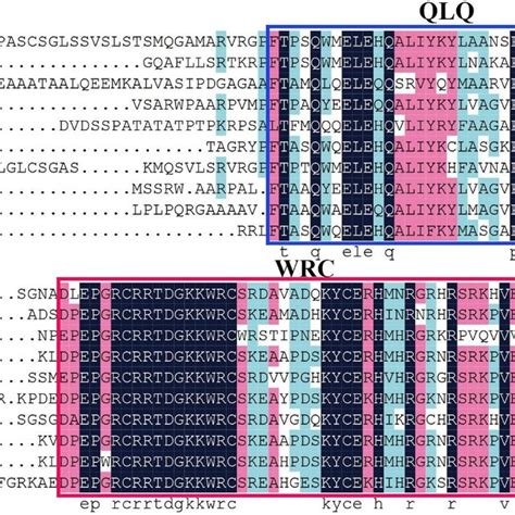 The Expression Pattern Of Grf Genes During Various Developmental Stages