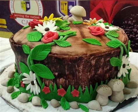 Hifza Tahir On Linkedin Throwback