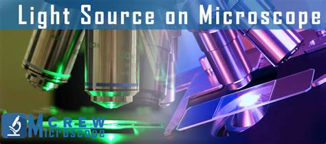What Does The Light Source Do On A Microscope Microscope Crew