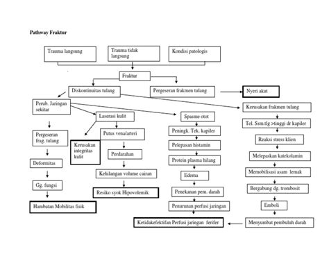 Pathway Fraktur Pdf