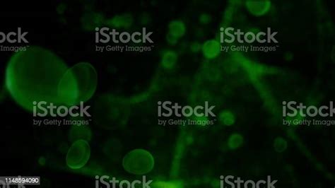 신체 과학 박테리아 바이러스 및 적혈구는 혈 류 체 정 맥에 감염 생물학 바이러스 감염 혈액 세포와 면역 개념 3d 렌더링 N