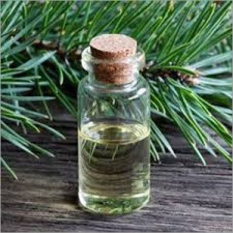 Cis 3 Hexenyl Acetate Continental Seeds And Chemicals Ltd