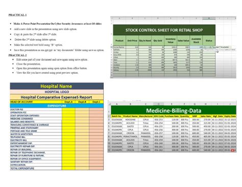 Practical Assignment Excel Pdf