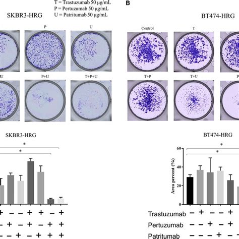 Efficacy Of Pertuzumab And Patritumab With Or Without Trastuzumab On