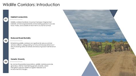 Top 10 Wildlife Corridors Powerpoint Presentation Templates In 2025