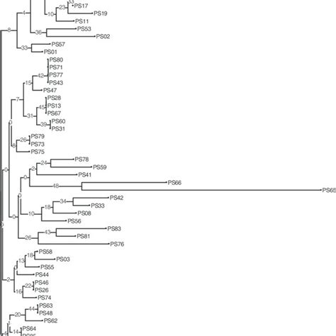 A Dendrogram Tree Showing The Relationship Between Isolates Of