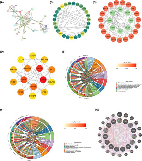 Protein Protein Interaction Network Analysis A The Protein Download Scientific Diagram