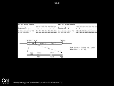 Volume 8 Issue 2 Pages February 2001 Ppt Download