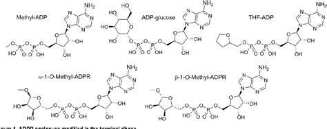 Triethylammonium Bicarbonate Semantic Scholar
