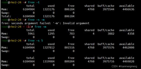Linux 操作系统下free 命令介绍和使用案例free G Csdn博客