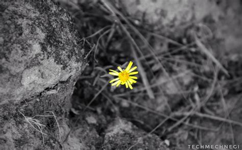 Using Licensed Excel Xlsx With Powershell Automation