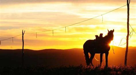 Ирэх сард ихэнх нутгаар бороо хур ихтэй байх төлөвтэй байна Jim Mn