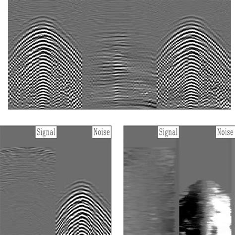 Signalnoise Separation Tested On Gulf Of Mexico Cmp Gather Top Row