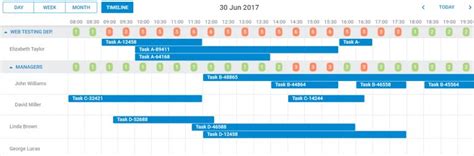 Project Resource Management With Dhtmlx Javascript Components