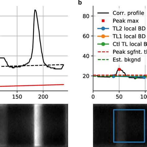 Test Line Quantification A Background Estimation Est Bkgnd And Download Scientific