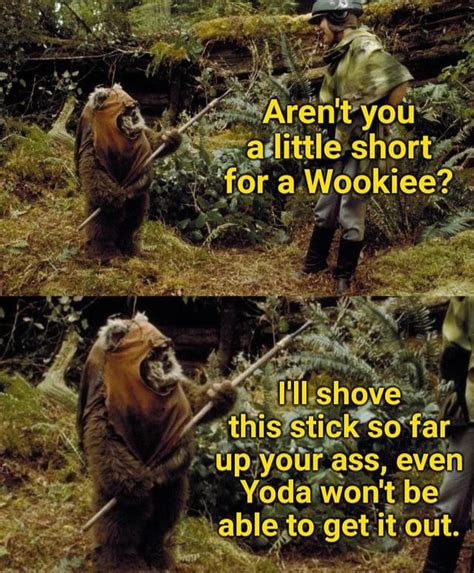 Wicket You Switched Off Your Targeting Computer R Otmemes