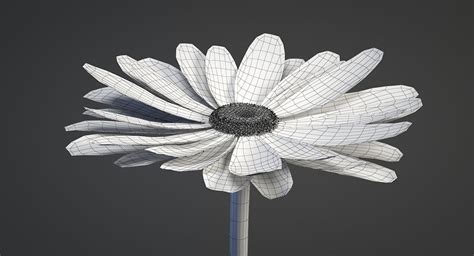 현실적인 카모마일 꽃 3d 모델 39 Fbx Max Obj Free3d